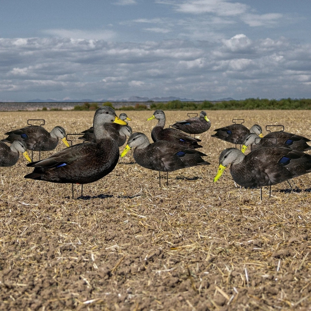 1 Dozen (Ultimatte Black Duck) | Duck Silhouettes – Honk Daddy Decoys